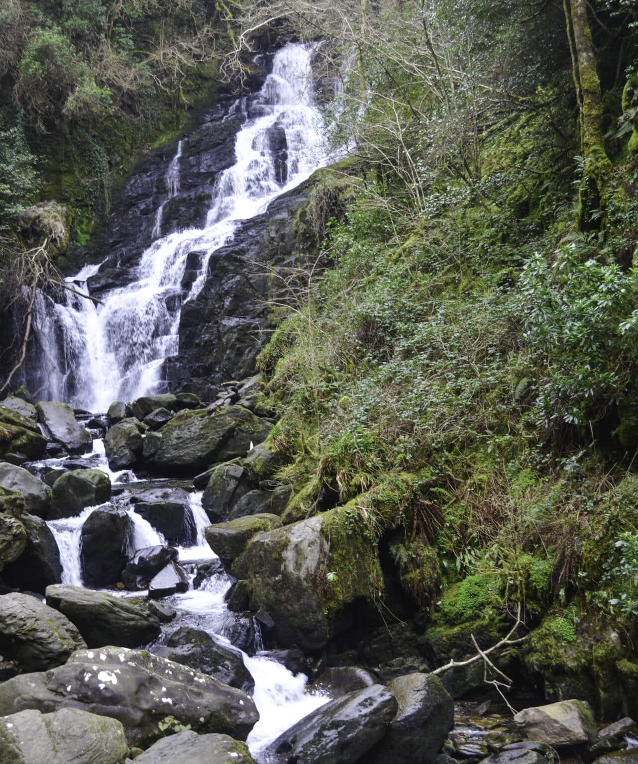 The Ultimate Killarney Guide: Top Things to Do in Killarney - Eat Sleep ...