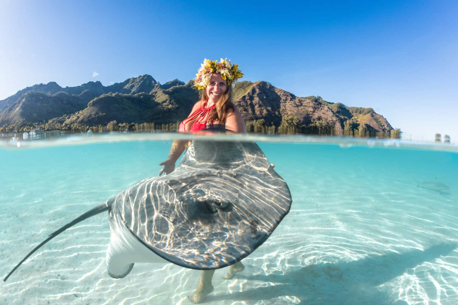 The Best Things to do in Mo’orea: A Mo’orea Itinerary - Eat Sleep ...