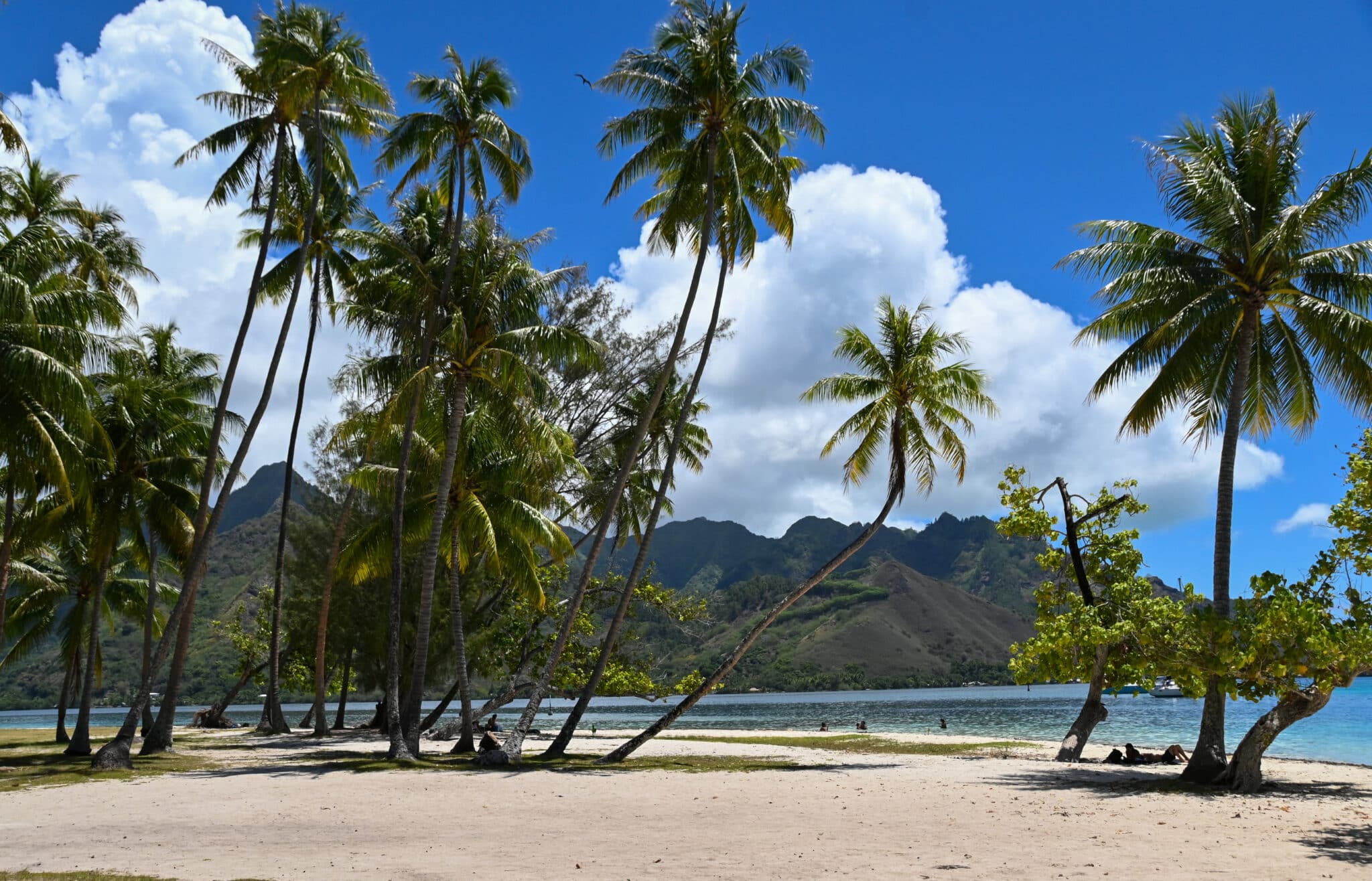The Best Things to do in Mo’orea: A Mo’orea Itinerary - Eat Sleep ...