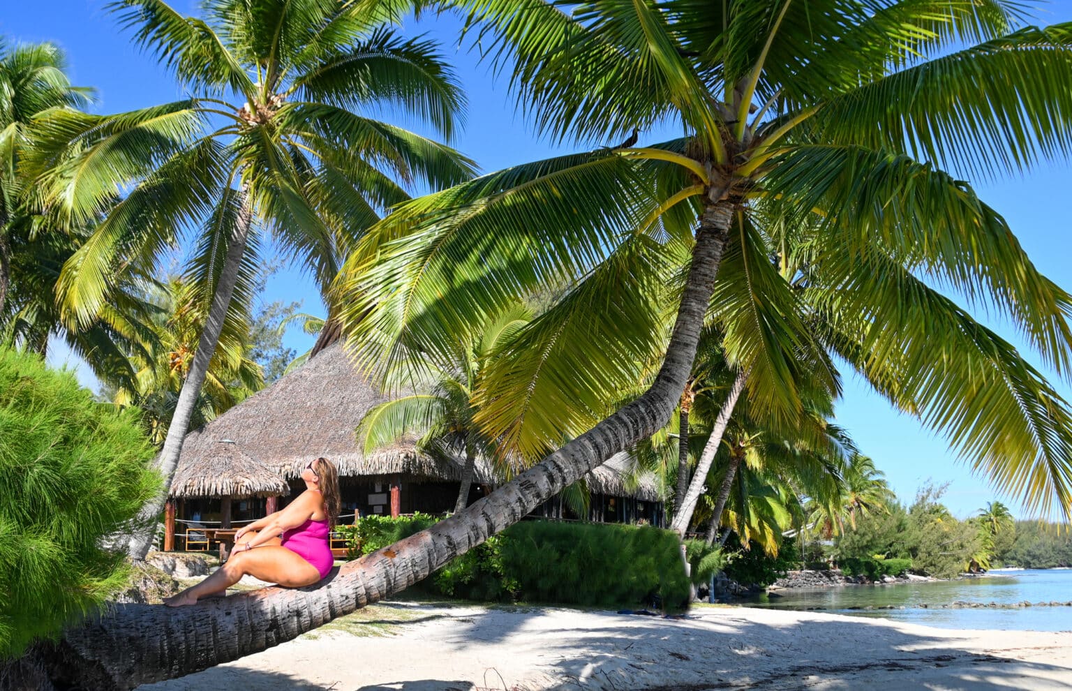 The Best Things to do in Mo’orea: A Mo’orea Itinerary - Eat Sleep ...